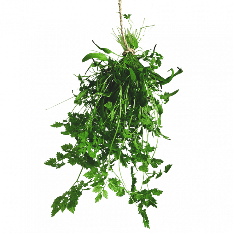 Our Produce - KropNation