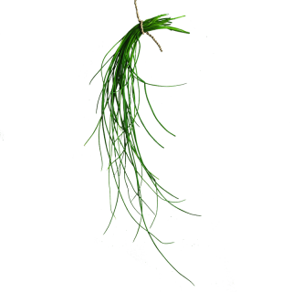 Our Produce - KropNation