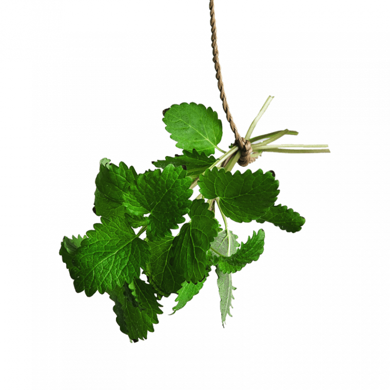 Our Produce - KropNation