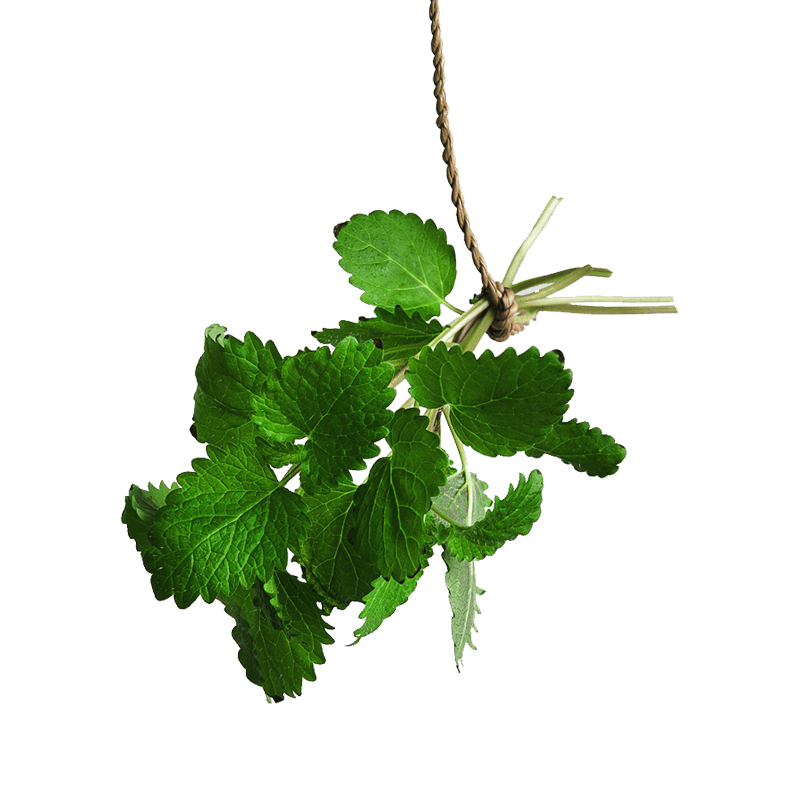 Our Produce - KropNation